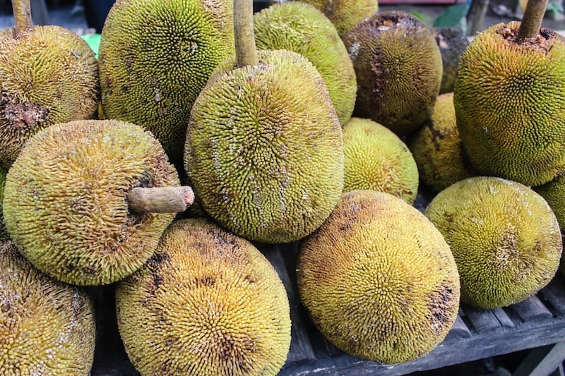 第一次品尝Marang水果-南Cotabato，菲律宾|贫穷的旅行者旅程博客bv伟德吧 - bv伟德吧,伟德国际app安卓版下载